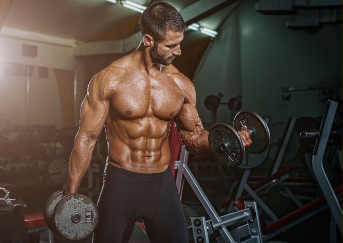 A diferença entre hipertrofia e definição muscular - O Mogiano